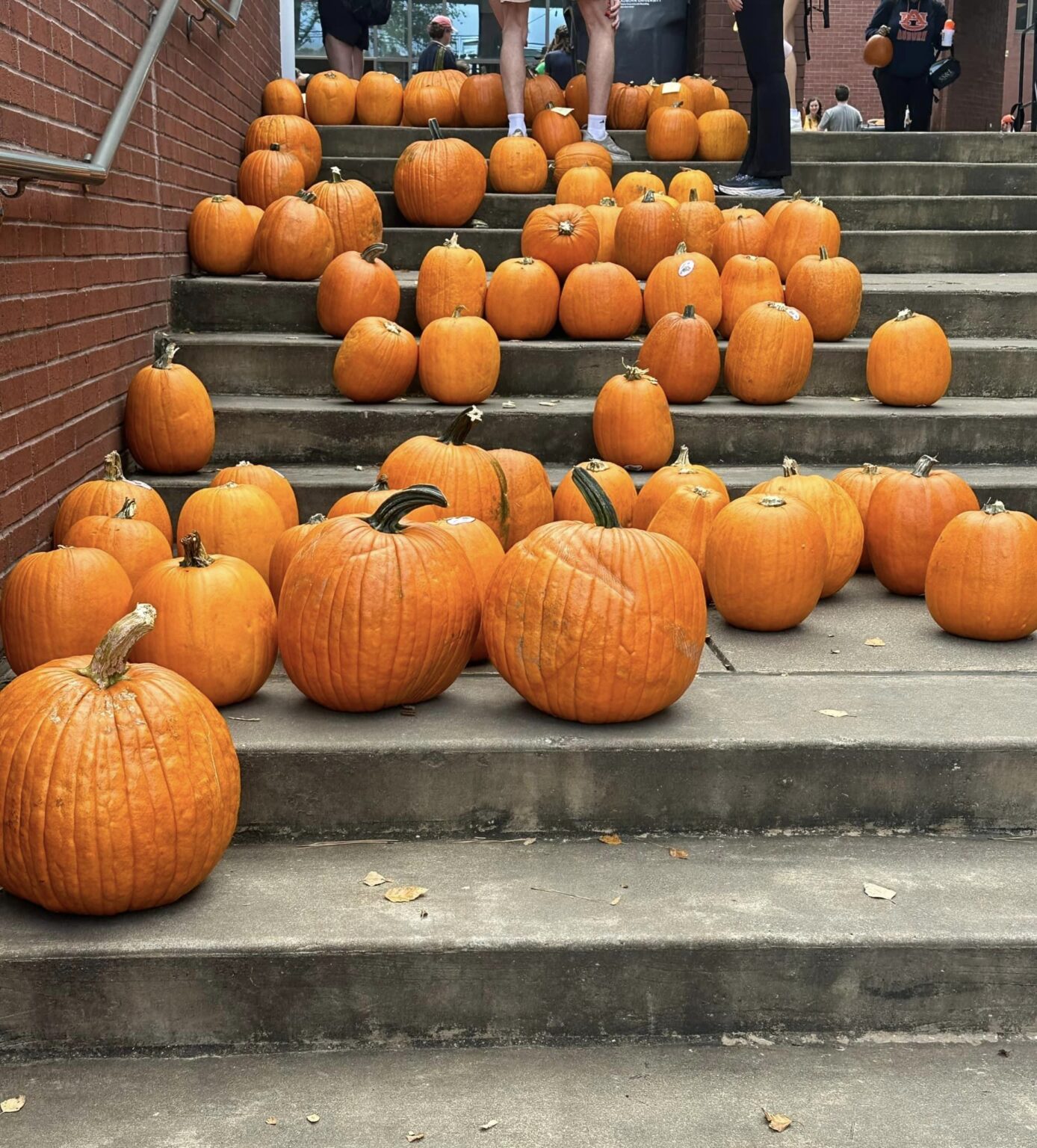 Auburn & Opelika Fall 2025: Pumpkin Patches, Festivals, and Local ...