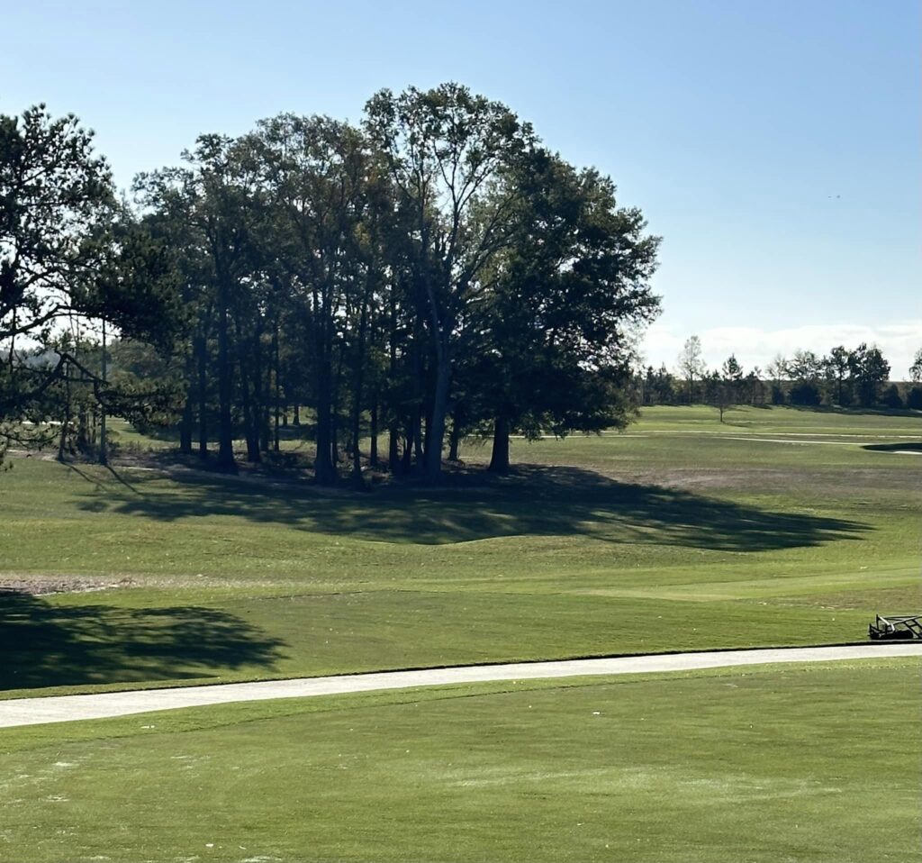 Pines Crossing Golf Course – Auburn & Opelika, AL | REALTOR® Laura ...