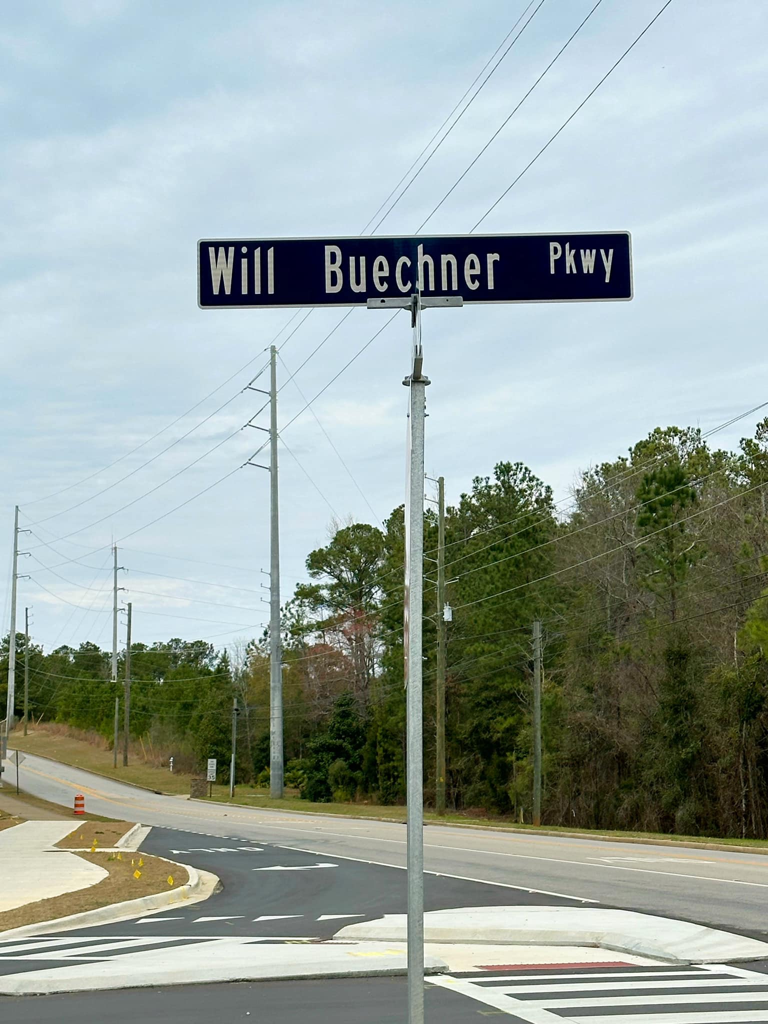 Will Buechner Parkway in Auburn, AL | REALTOR® Laura Sellers, Auburn, AL