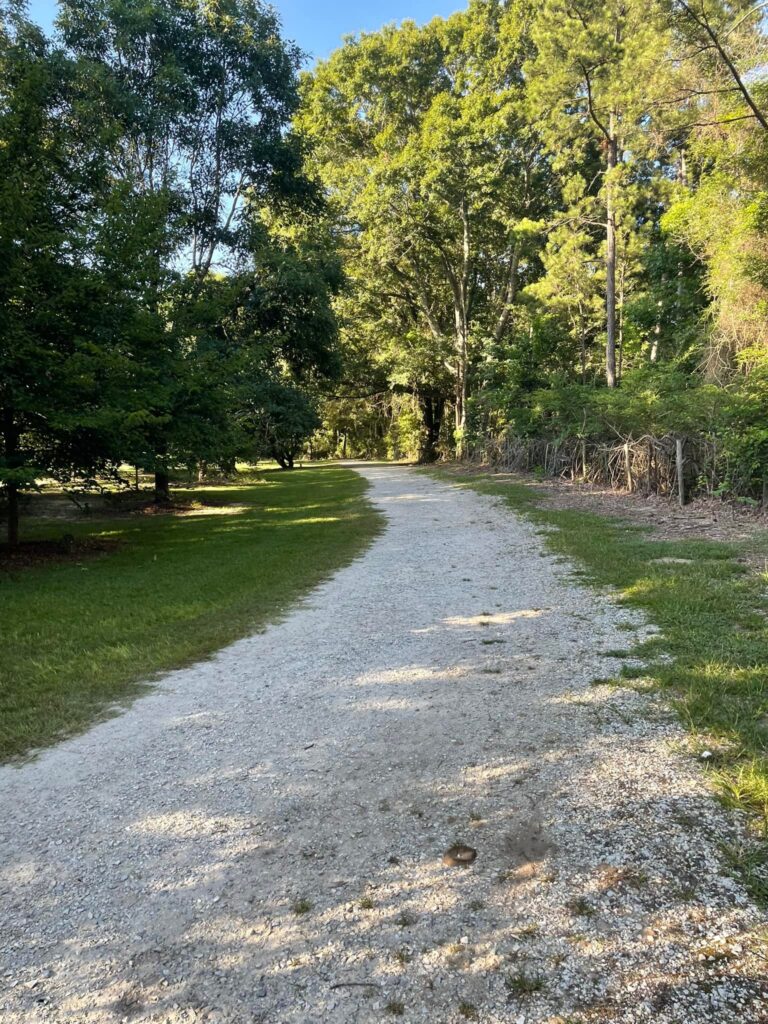 Kiesel Park in Auburn, Alabama: Nature, Trails, Events & Community ...