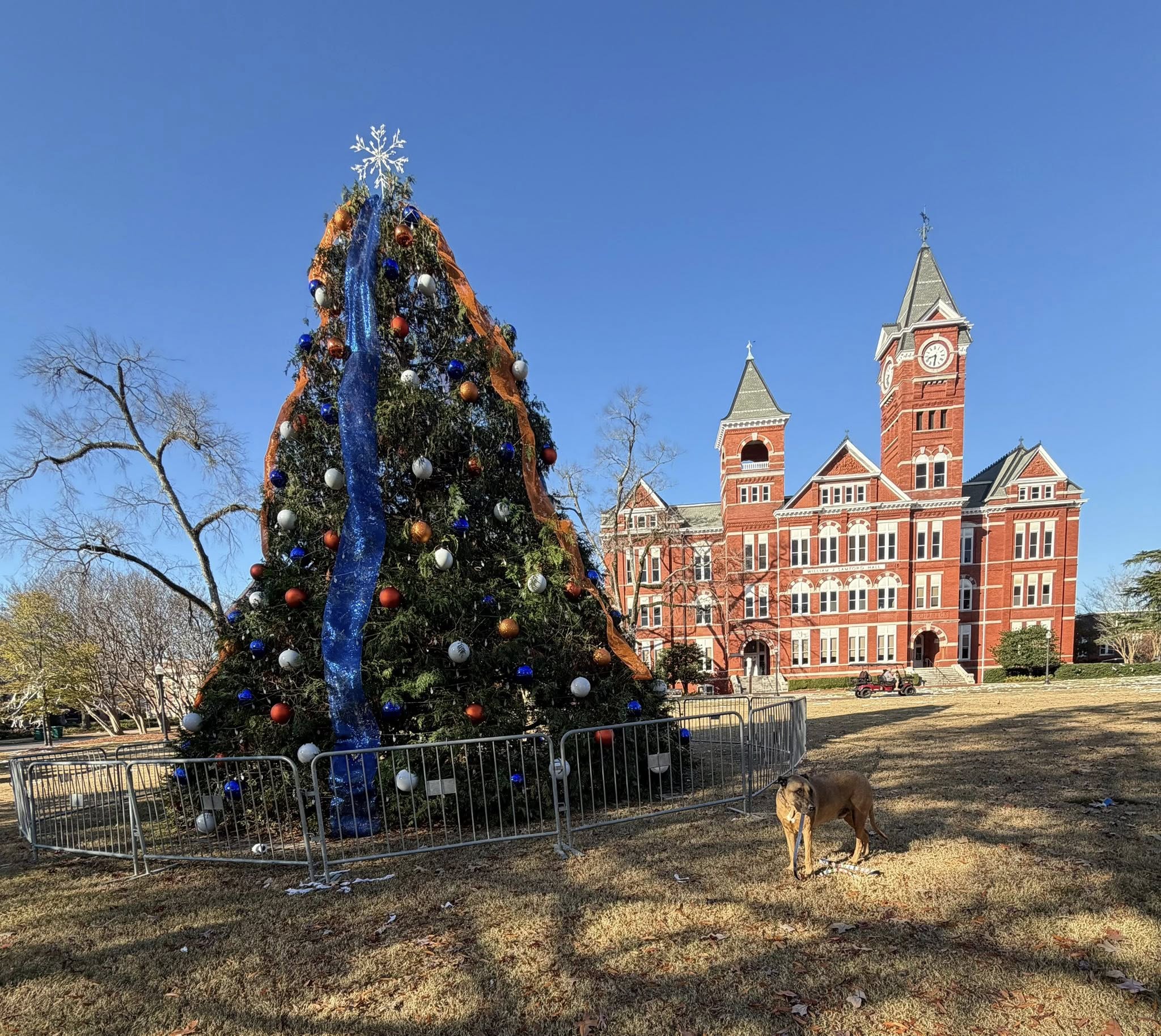 Auburn Christmas Guide 2025: Events, Traditions & Holid