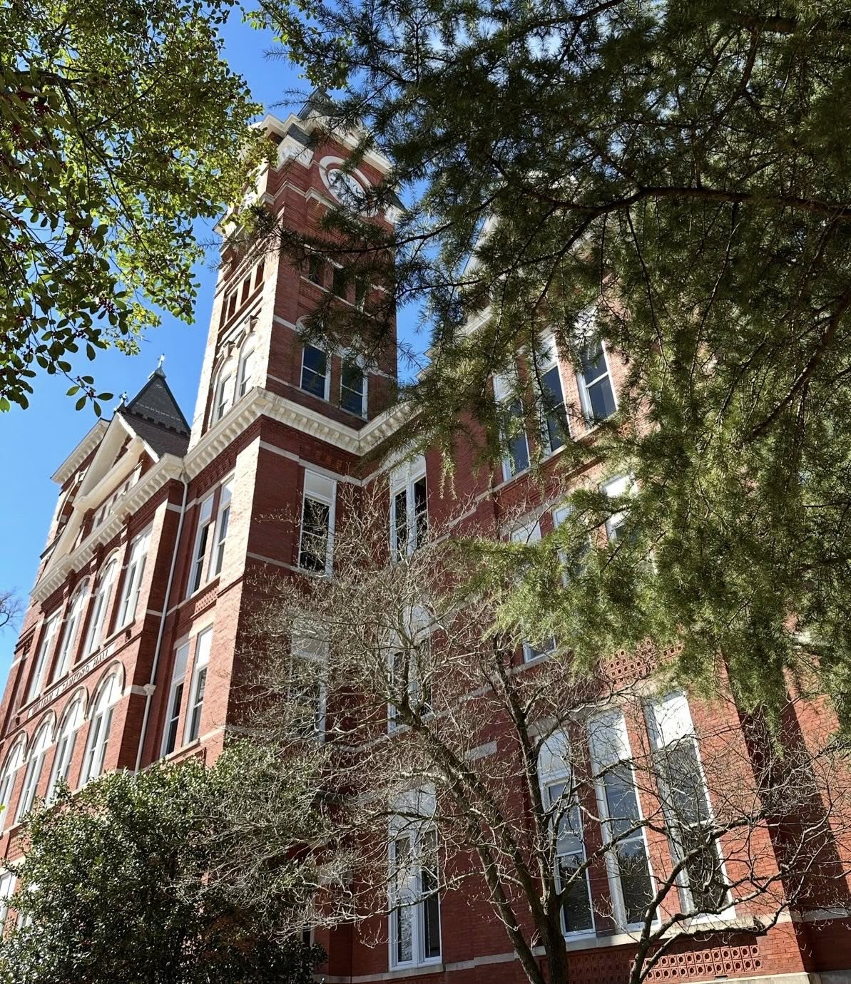 Auburn Relocation: Quick Overview — Condo vs. Townhome