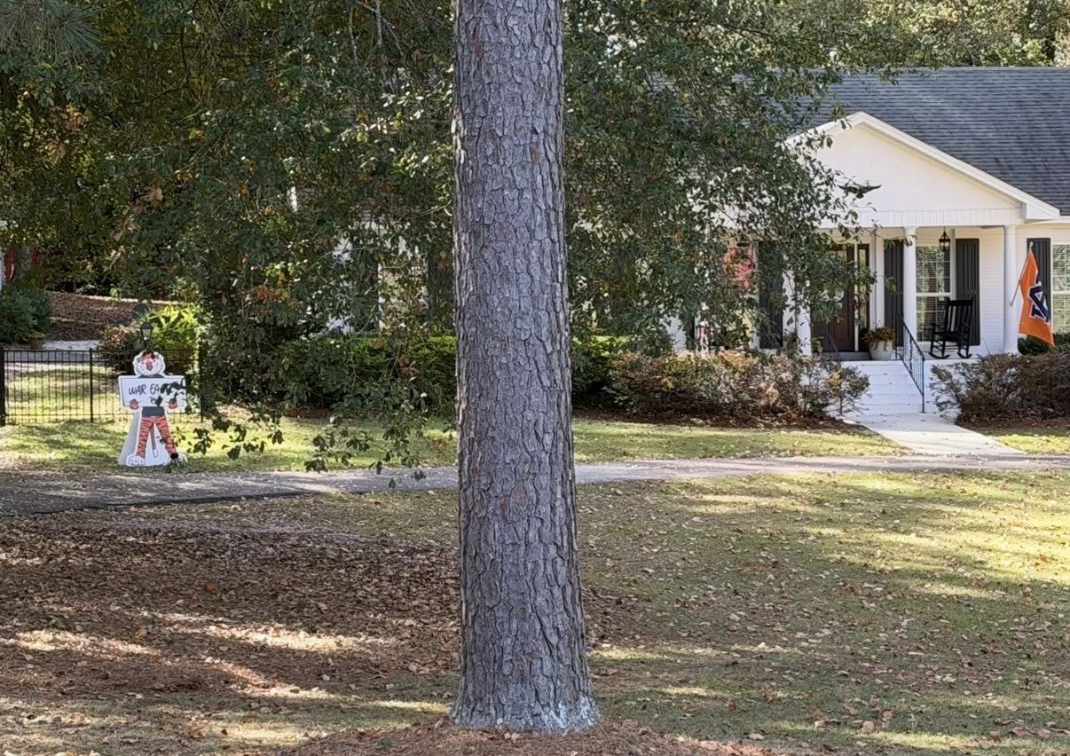 Move to Auburn: How to Avoid Common Housing Mistakes Wh