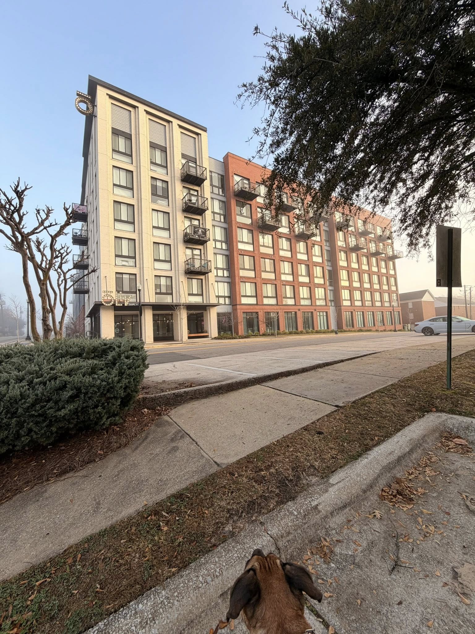 Insider Tips Most Agents Don’t Know